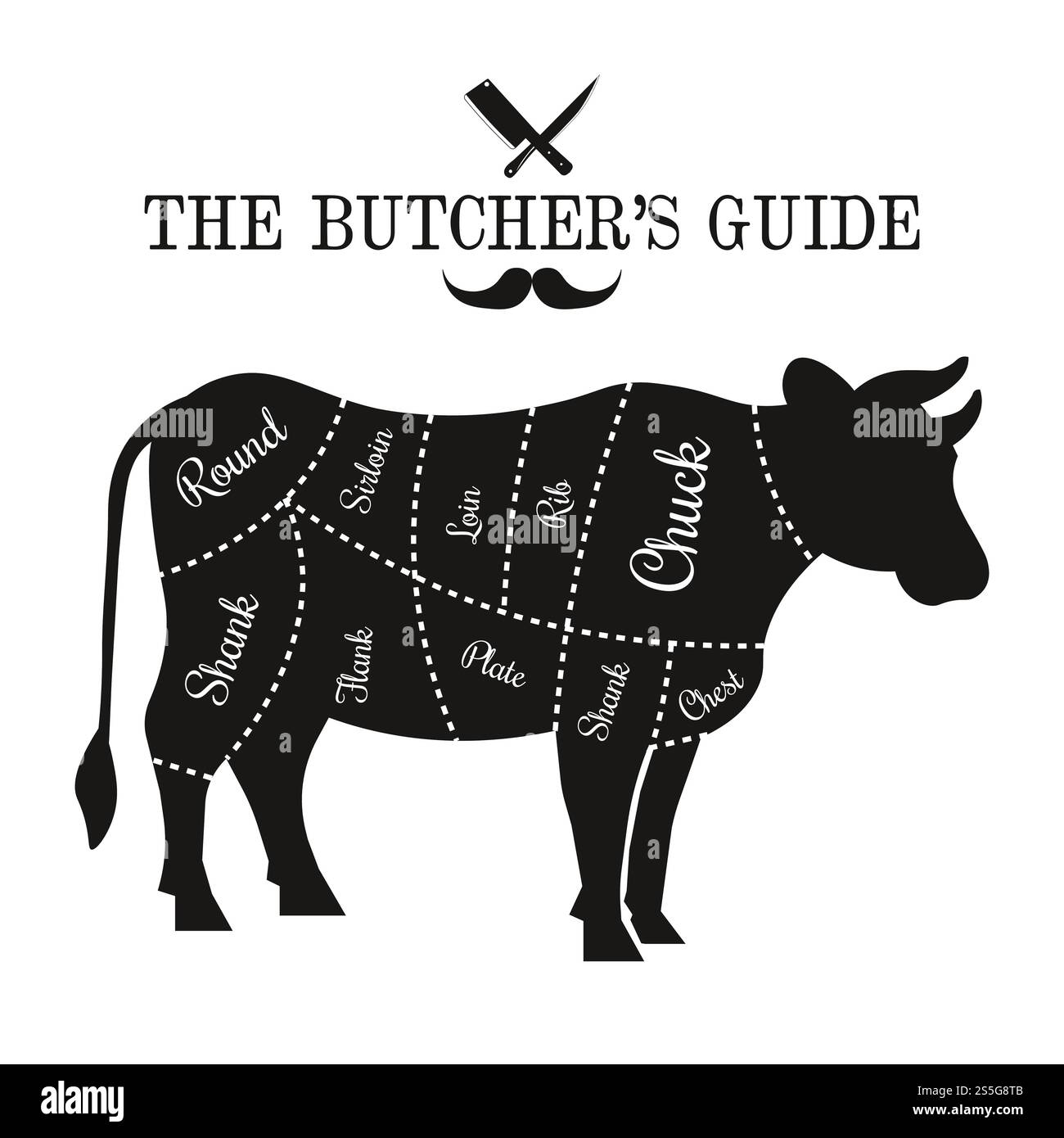 Beef, cattle meat cut lines diagram on the outline of a cow, butcher ...