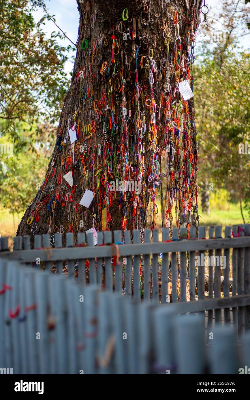 Killing tree at Choeung Ek killing fields near Phnom Penh, Cambodia ...