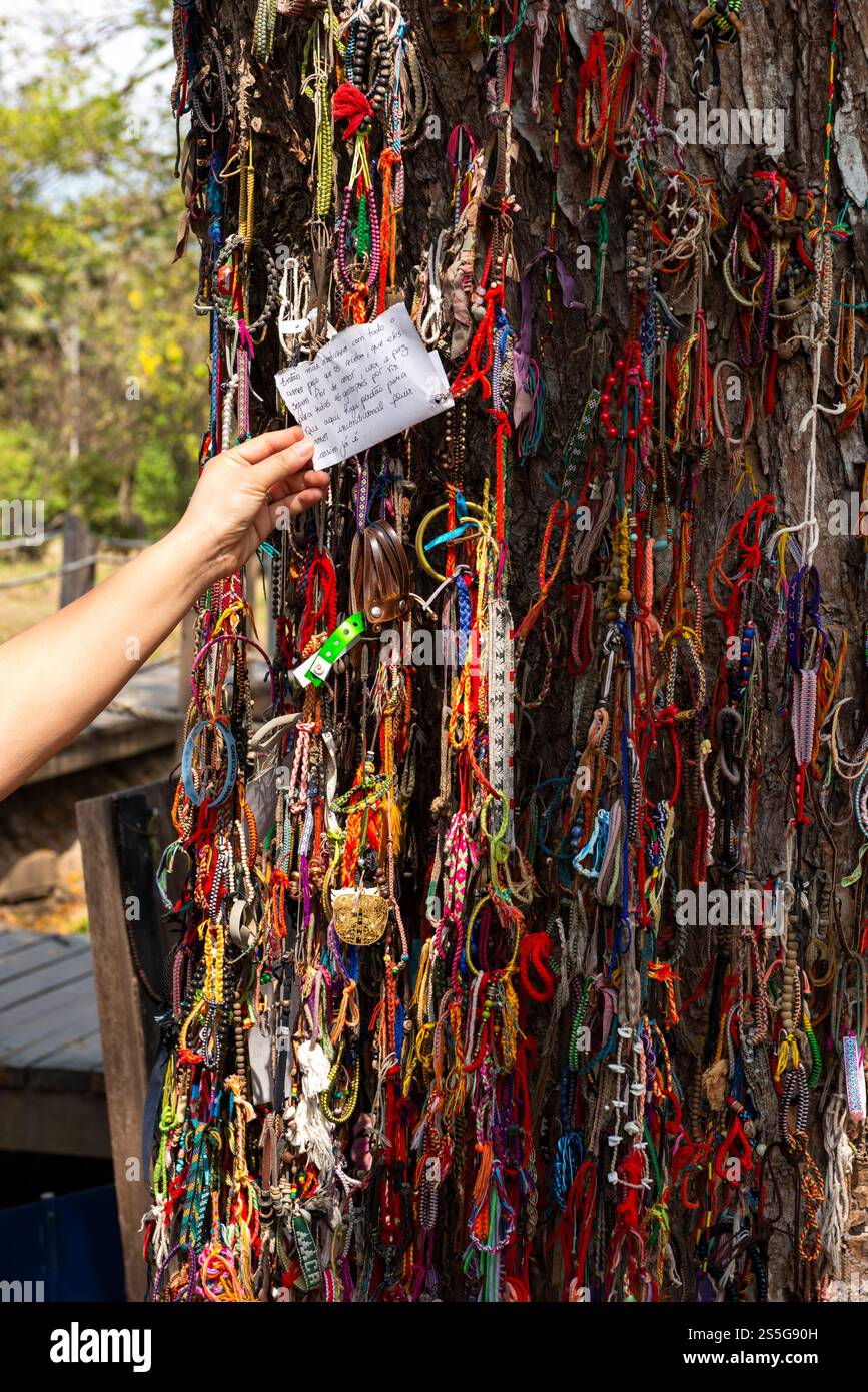Killing tree at Choeung Ek killing fields near Phnom Penh, Cambodia ...