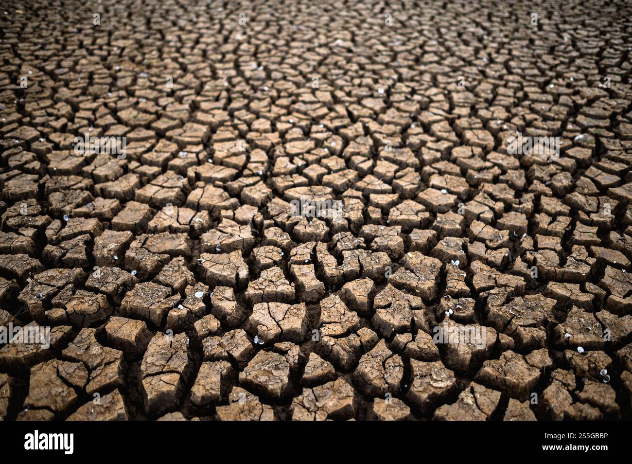 Arid land with dry and cracked ground,global warming Stock Photo - Alamy
