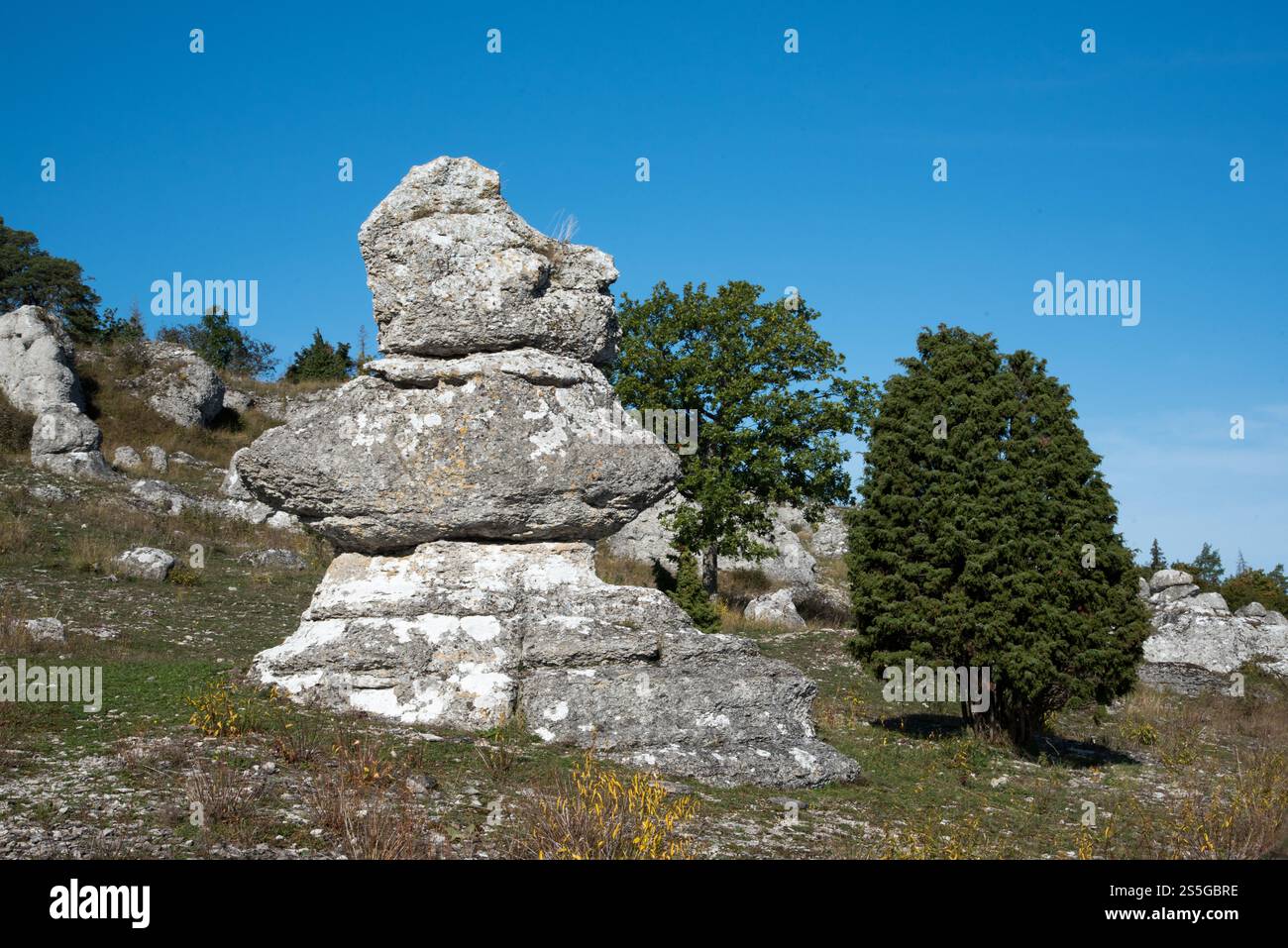 The rauks of Lergravsviken on Gotland Island in Sweden are the remains ...