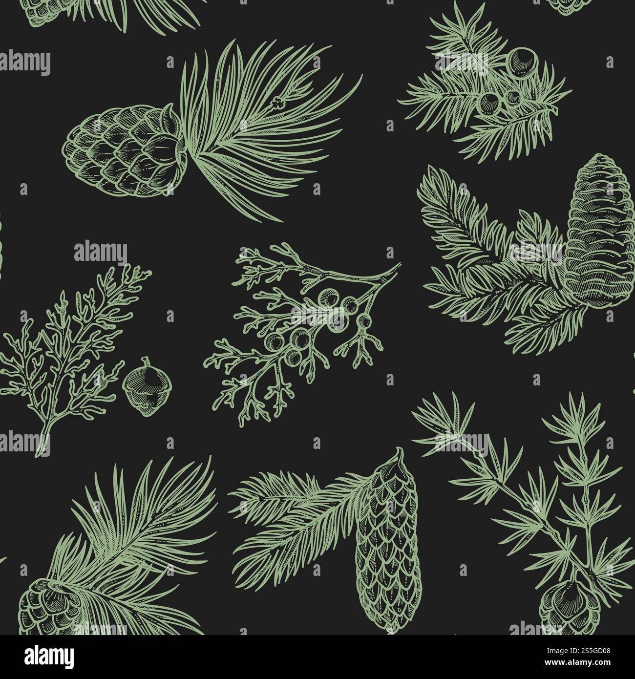 Pine branches of trees and cones seamless pattern isolated on white ...