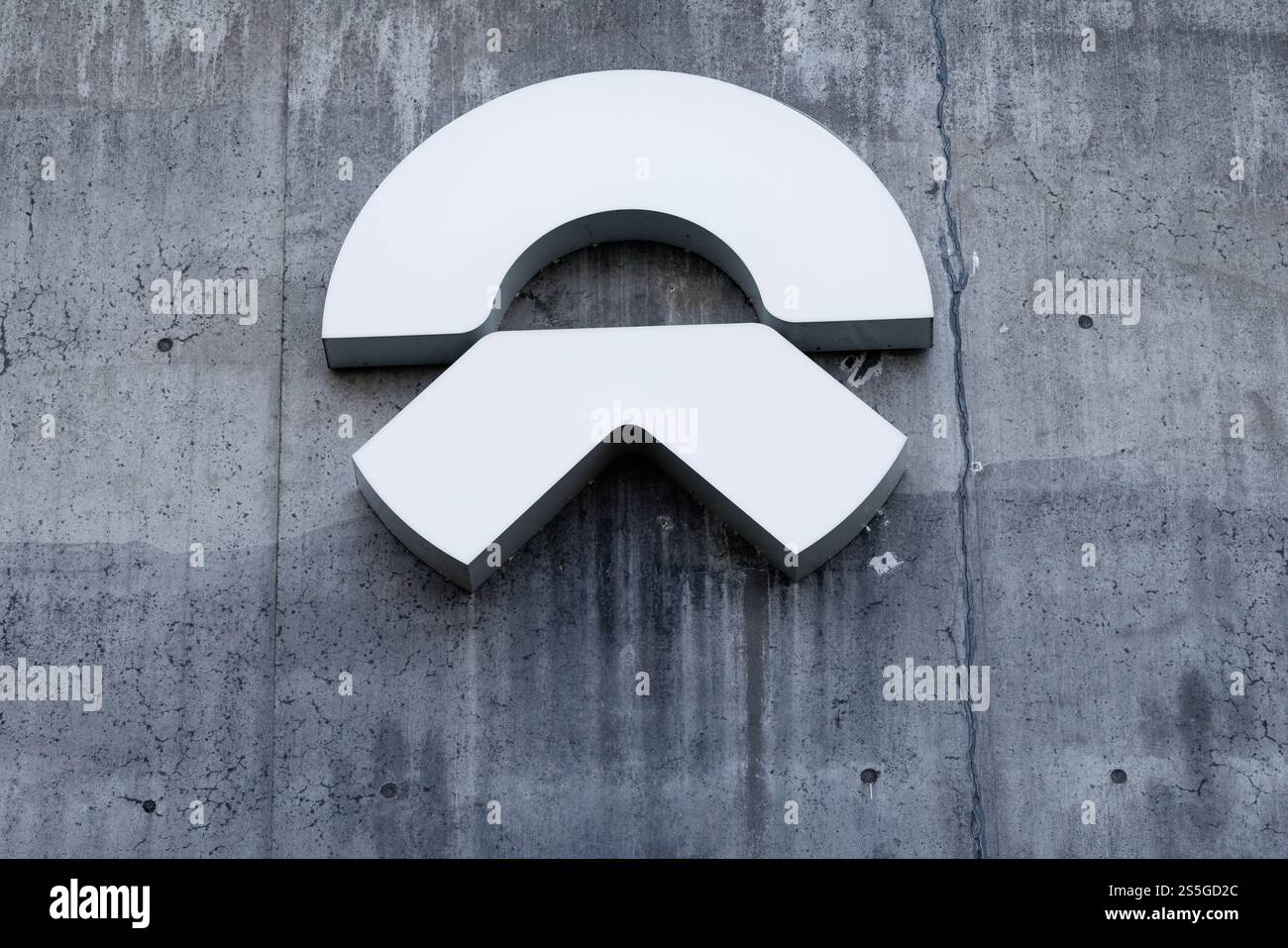 10 January 2025, Bavaria, Munich: The brand logo of Chinese car ...