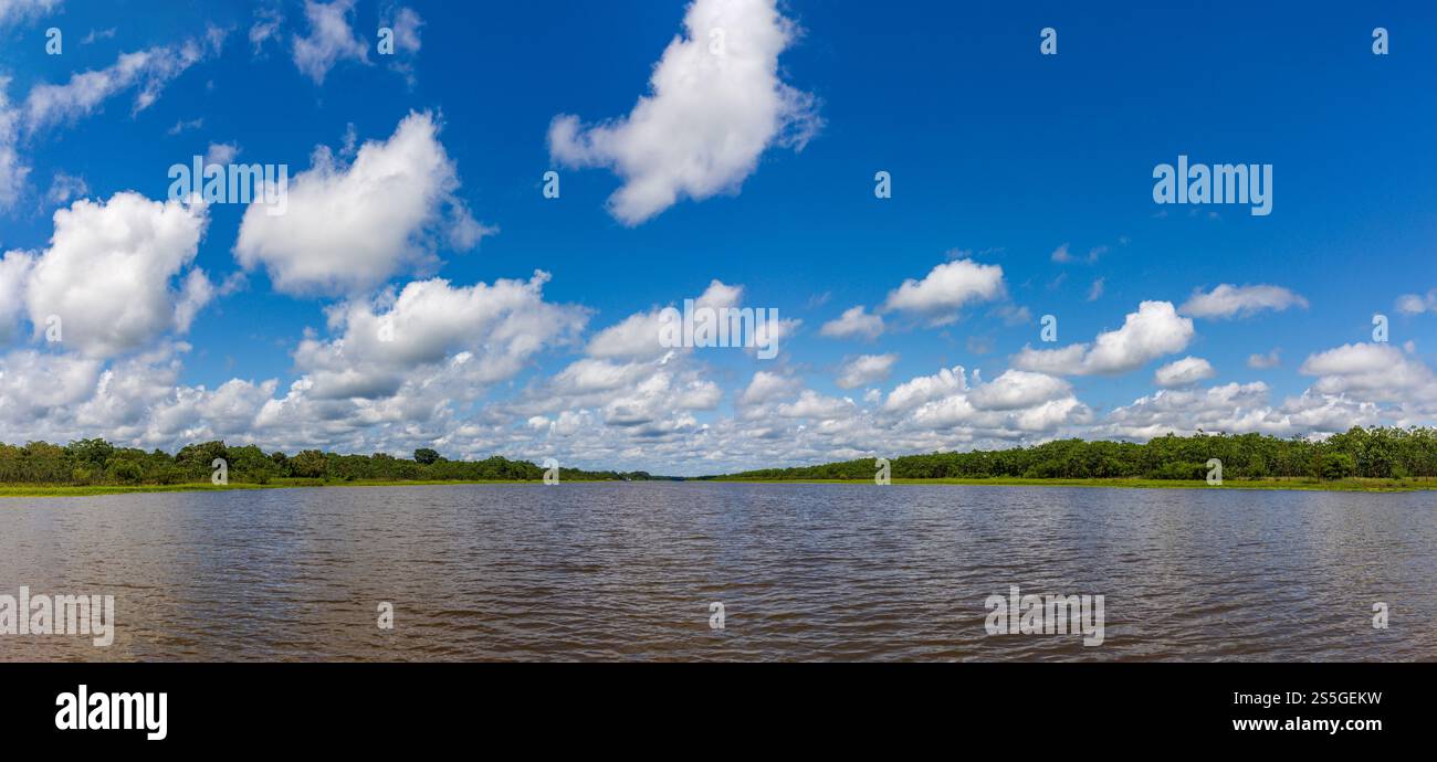 Beautiful jungle landscape with the amazon river in Iquitos, Peru Stock ...