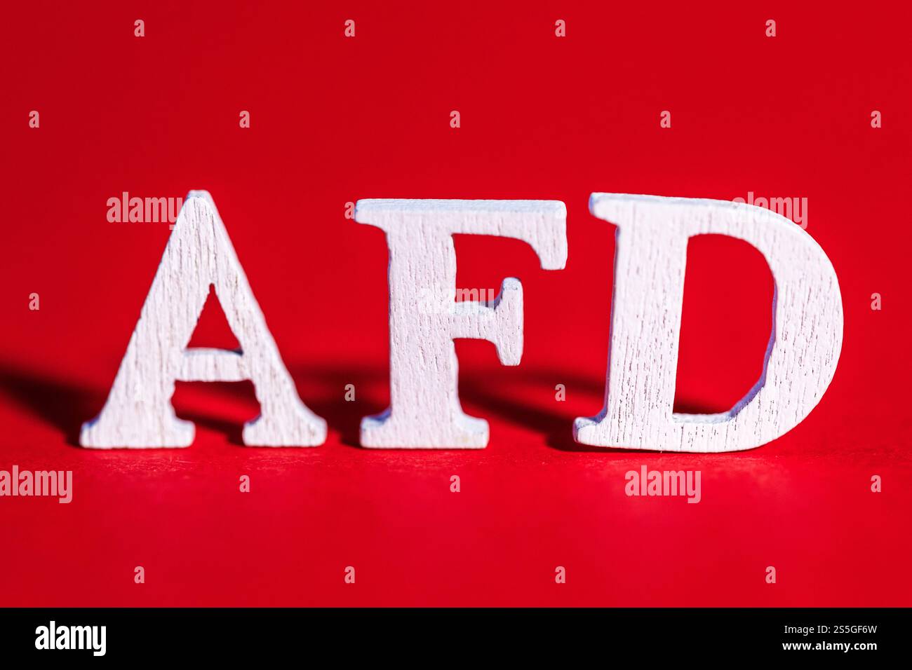 Symbolfoto AFD DEU/Deutschland/Illustration, 14.01.2025, Symbolfoto AFD ...