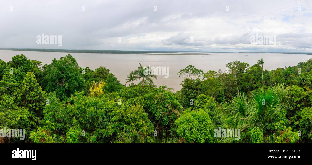 Amazon landscape with view of the jungle and Amazon river, from the ...