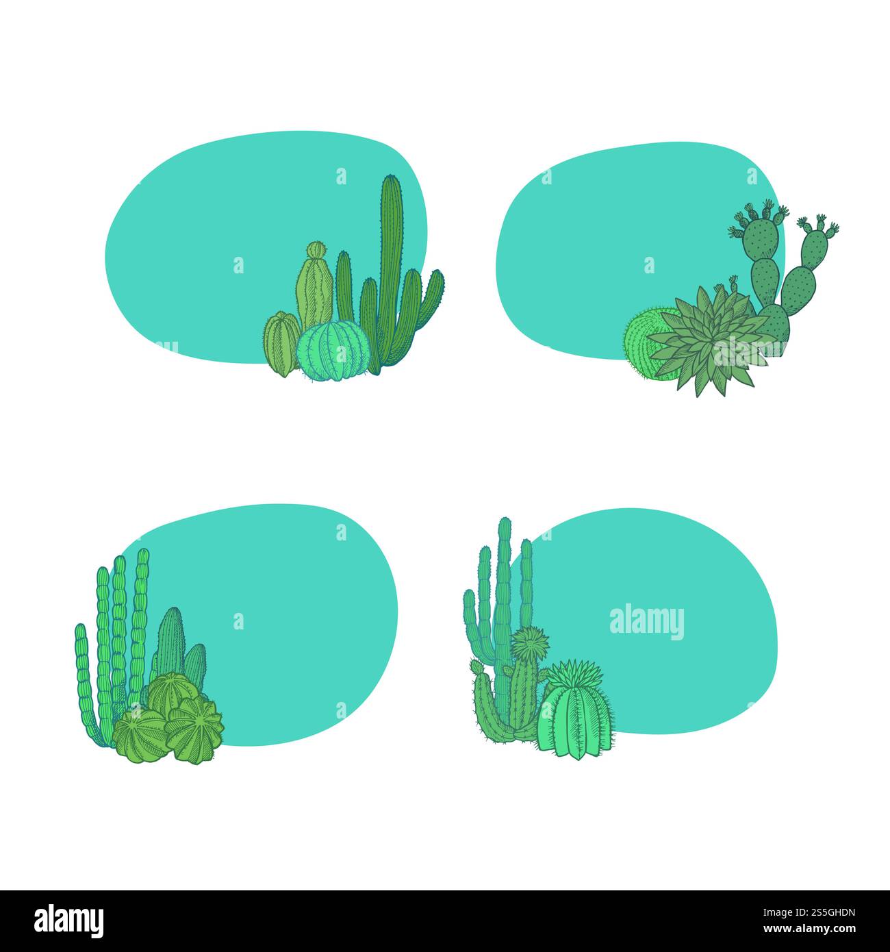 Vector hand drawn desert cacti plants illustration isolate on white ...