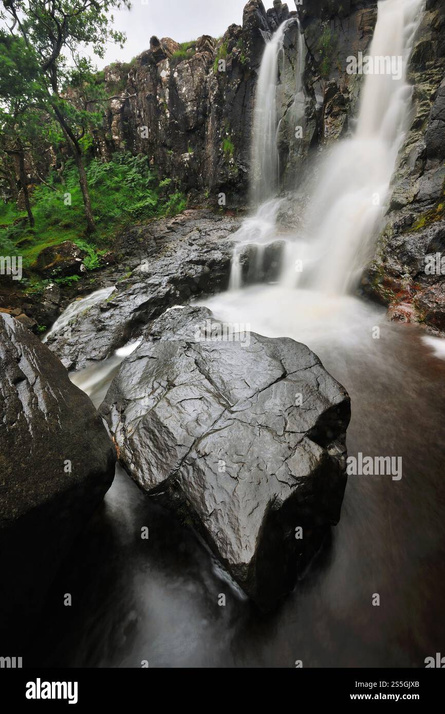 Eas Fors waterfall, with surrounding sessile oak trees (Quercus petraea ...