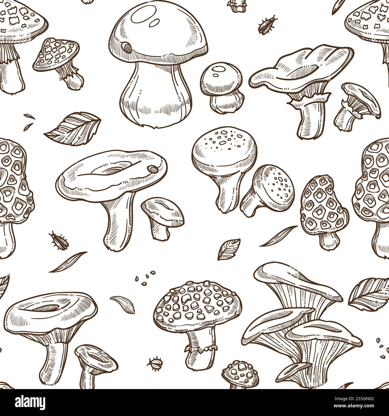 Mushrooms sketch seamless pattern. Vector edible champignon, chanterelle or morels and porcini ...