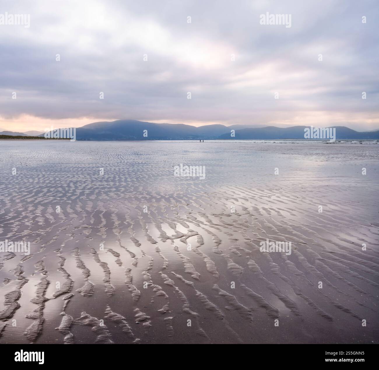 Cloudy sunset sky reflecting in wet sand ripples of Inch Beach on ...