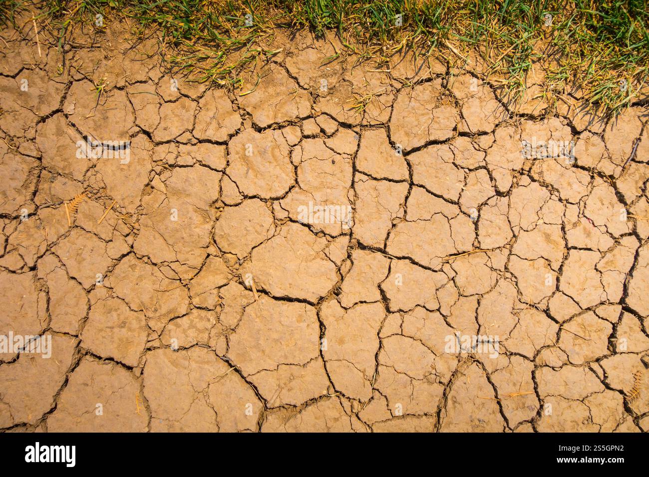 Dry mud background texture. Closeup view. Global warming symbol. Dry ...