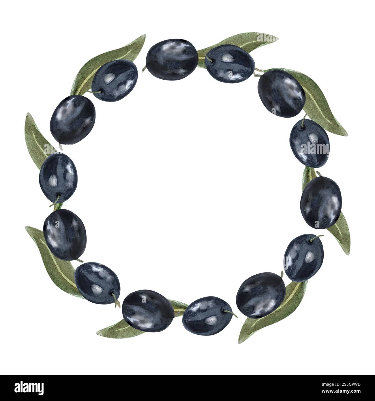 Olives and black olives berries, hand-drawn in watercolor. Round frame ...