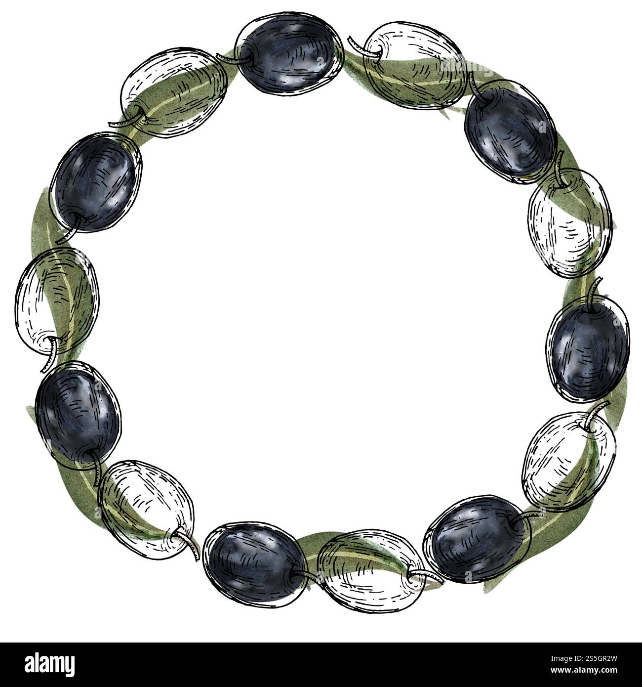 Olives and black olives hand drawn with watercolor and liner in graphic ...