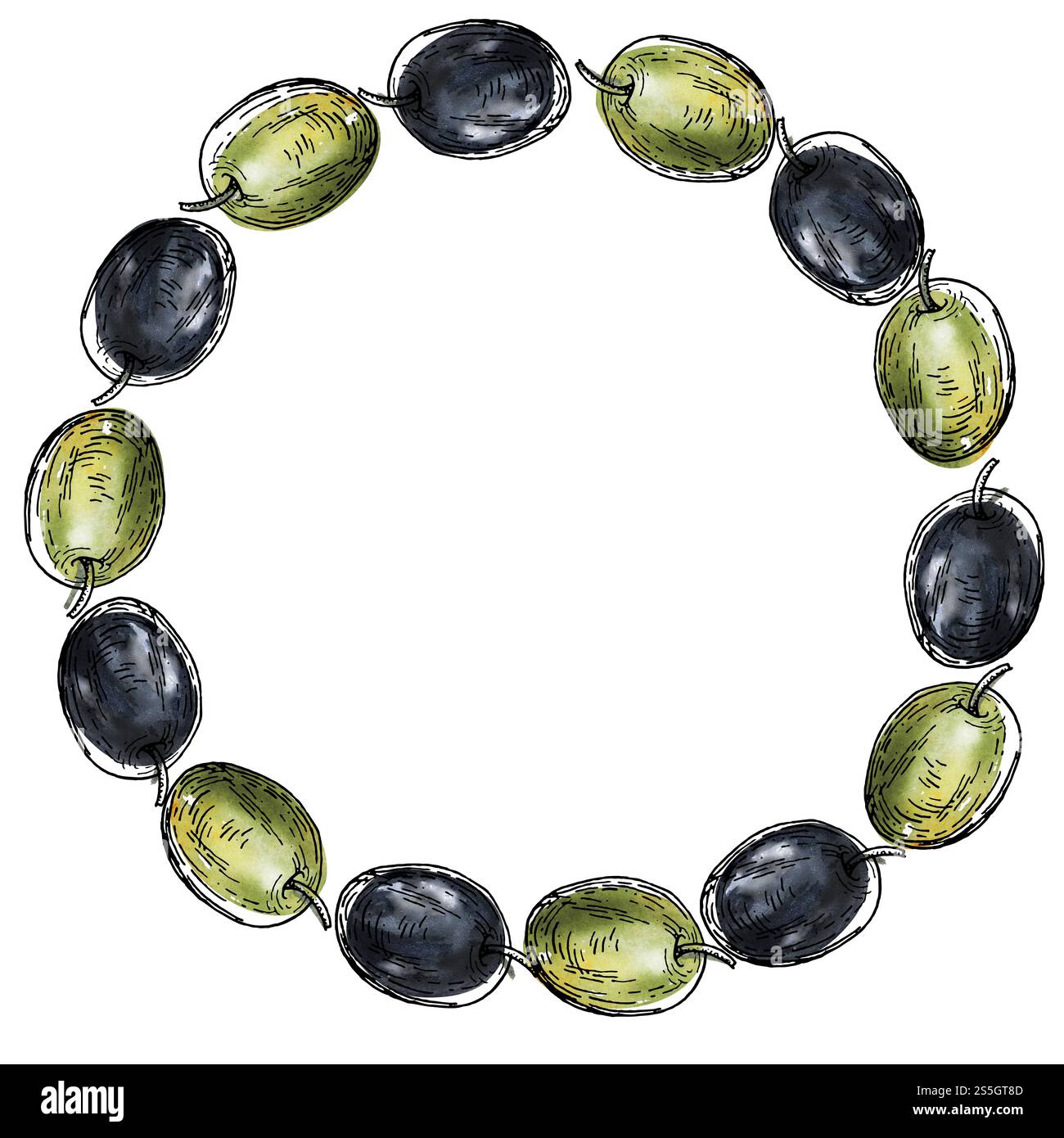 Olives and black olives hand drawn with watercolor and liner in graphic ...