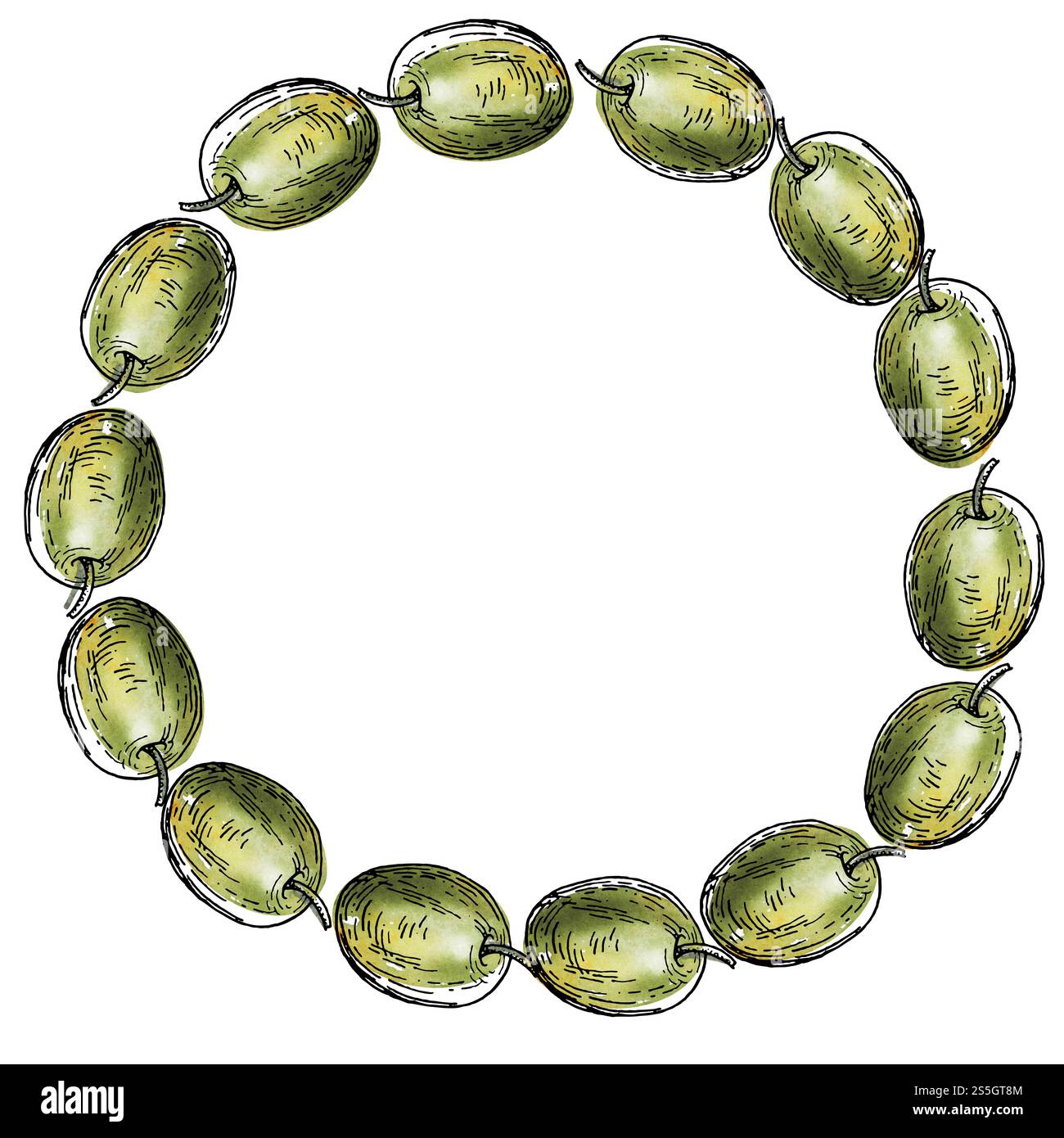 Olives and black olives hand drawn with watercolor and liner in graphic ...