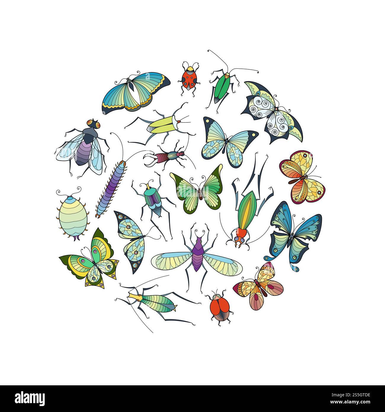 Vector hand drawn insects in circle shape illustration isolated on ...