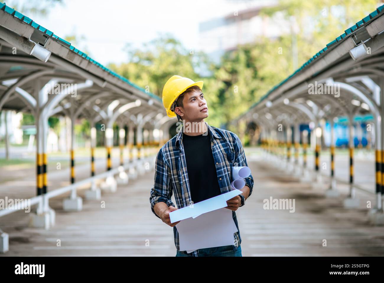 Architects hold the building plan and check the work Stock Photo - Alamy