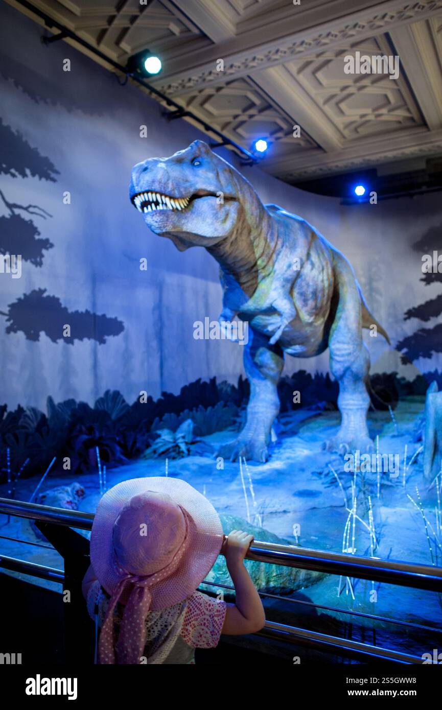 London / England - June 16 2017: A child looks at a robot tyrannosaurus ...