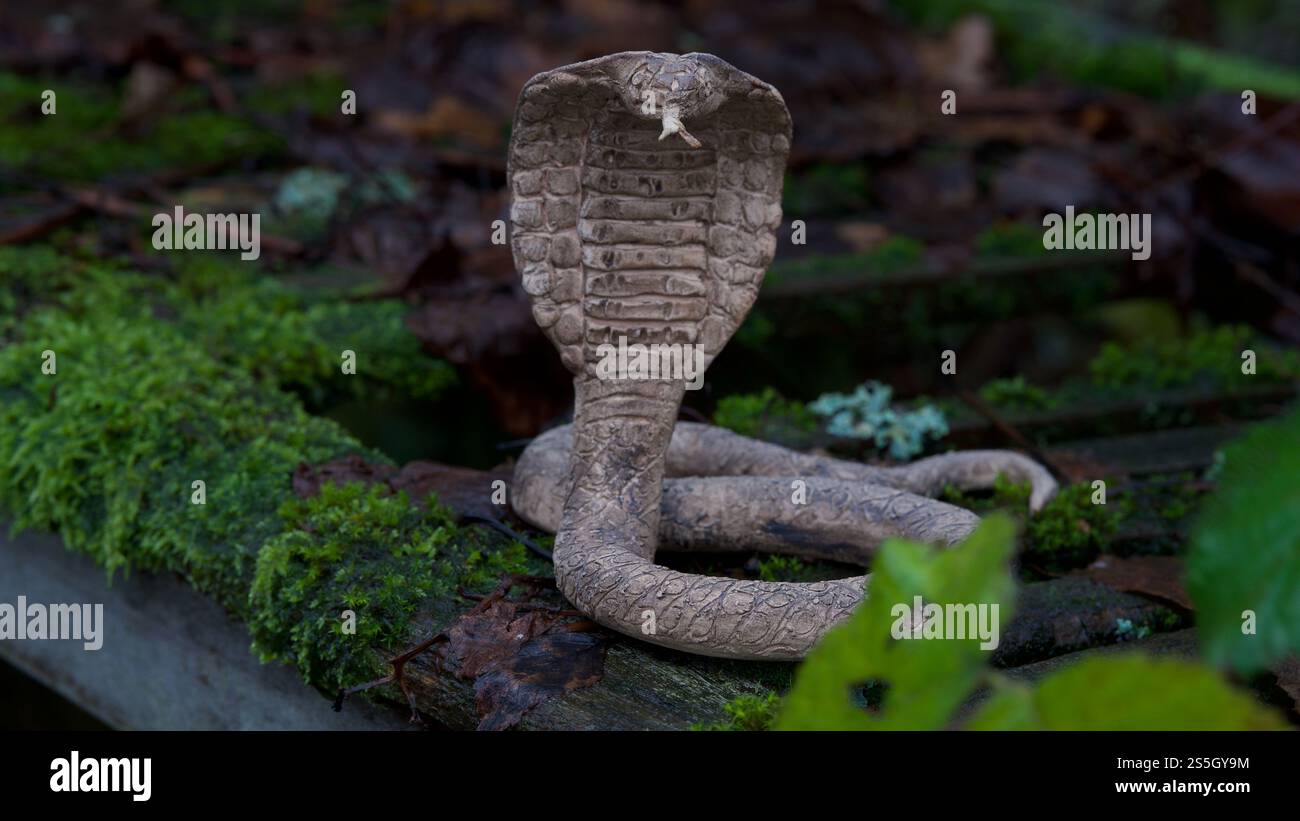 Clay snake on a mossy background Stock Photo - Alamy