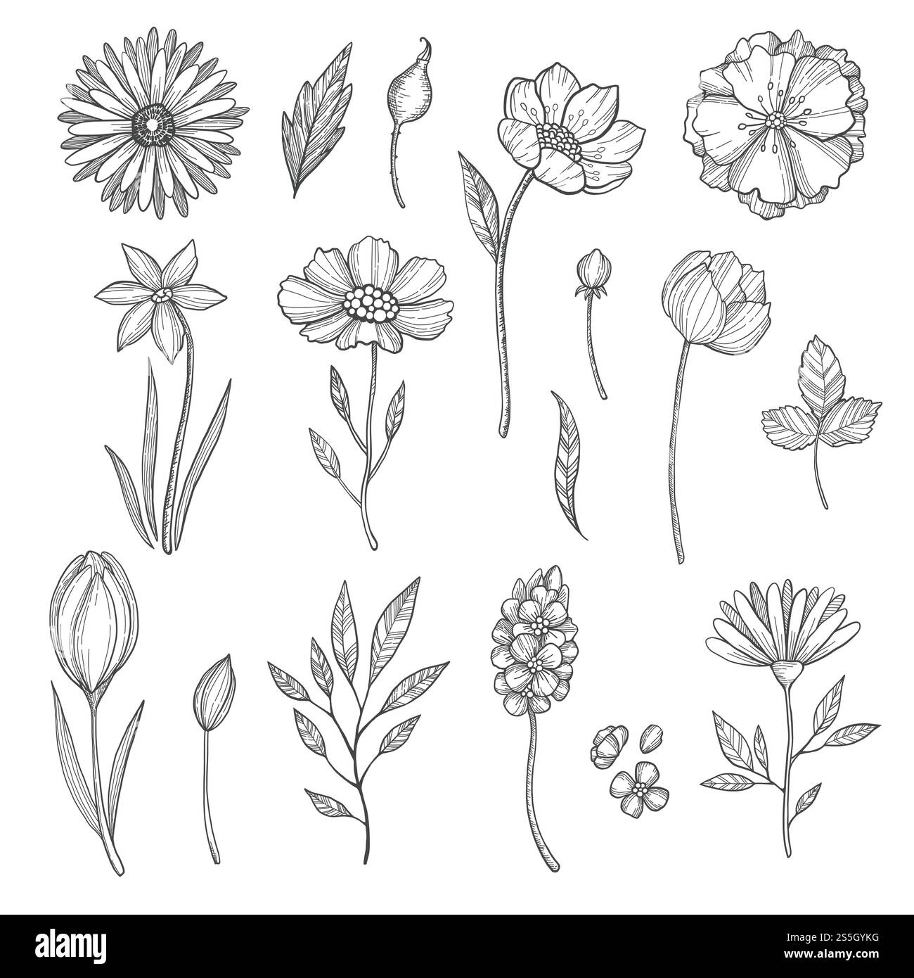 Pictures of summer Black and White Stock Photos & Images - Alamy