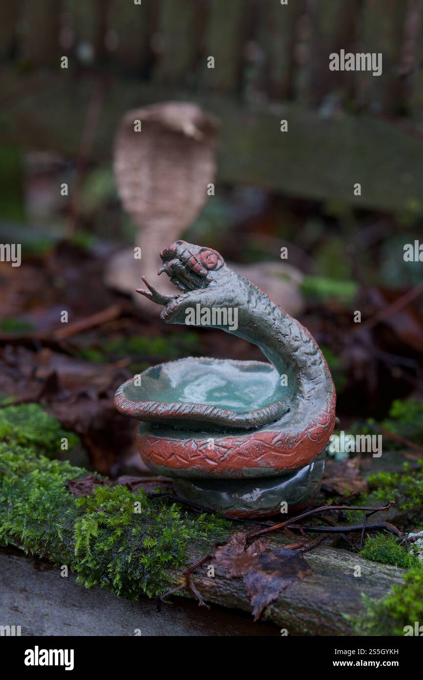 Two poisonous snakes hi-res stock photography and images - Alamy