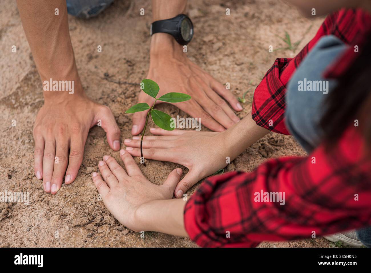 Tree help in spring hi-res stock photography and images - Alamy