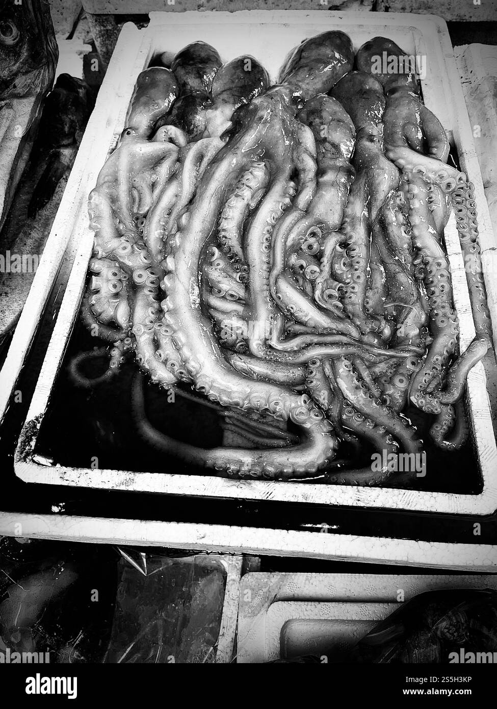 Market food Black and White Stock Photos & Images - Alamy