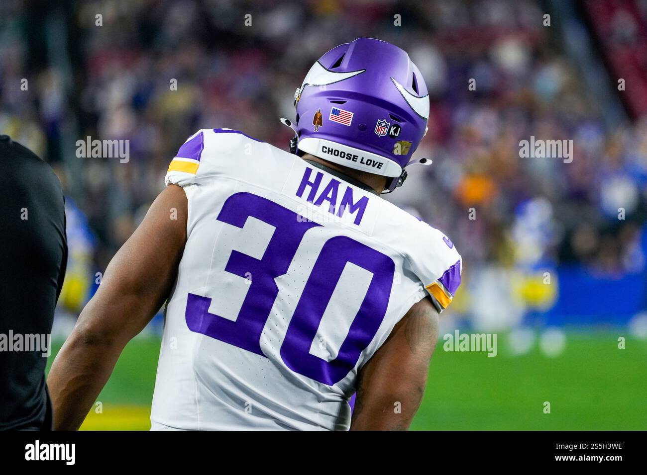 Minnesota Vikings fullback C.J. Ham (30) before an NFL football game ...