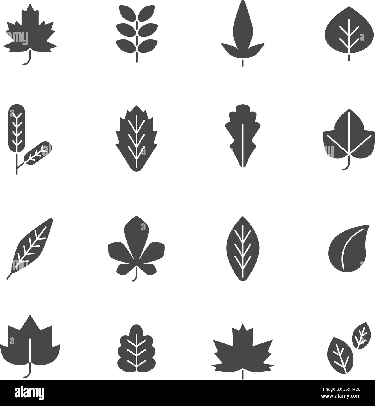 Black leaves. Vector symbols of autumn plants. Illustration of leaf ...