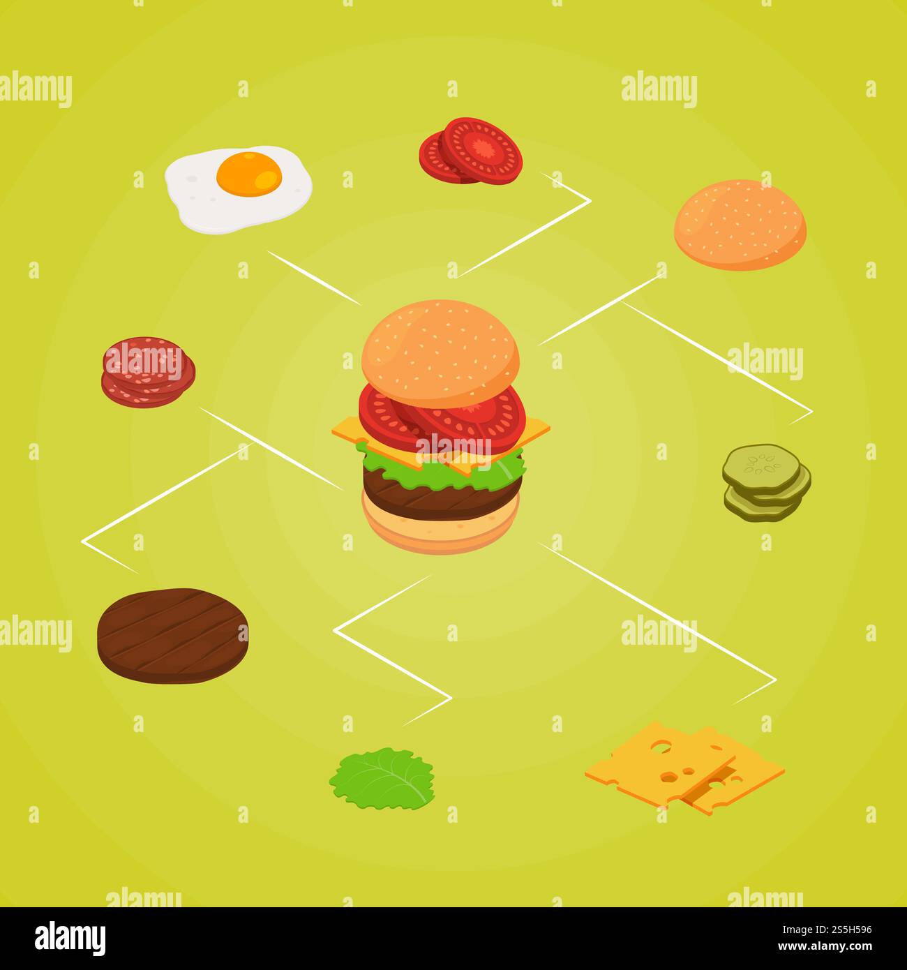 Vector isometric burger ingredients infographic concept illustration ...