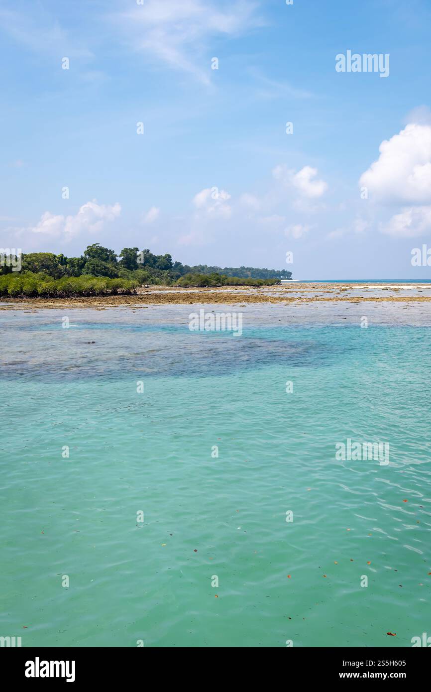 Blue Sea Coastline with Mangrove Forest Under Bright Sky image is taken ...