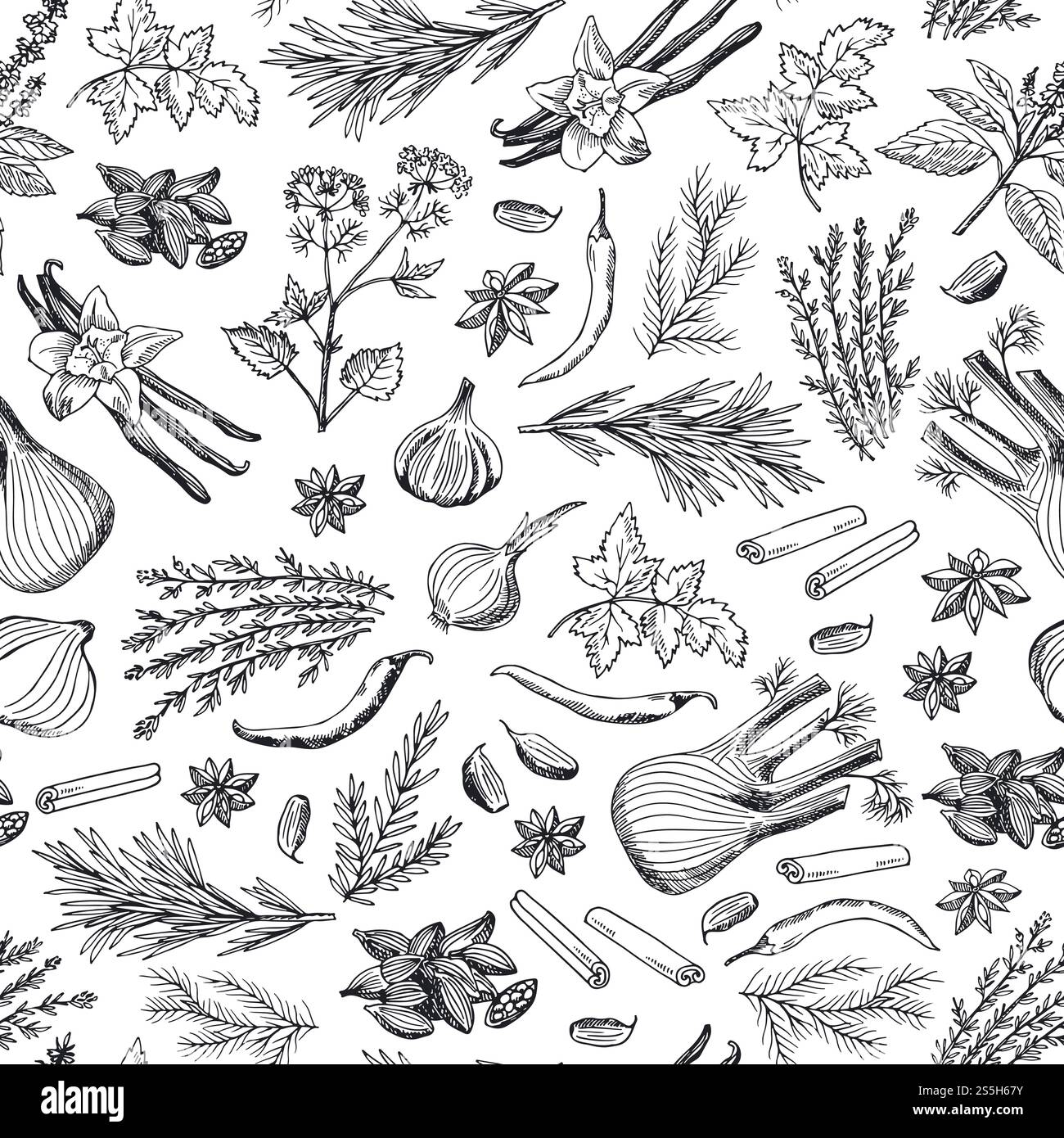 Vector hand drawn herbs and spices background or pattern illustration ...