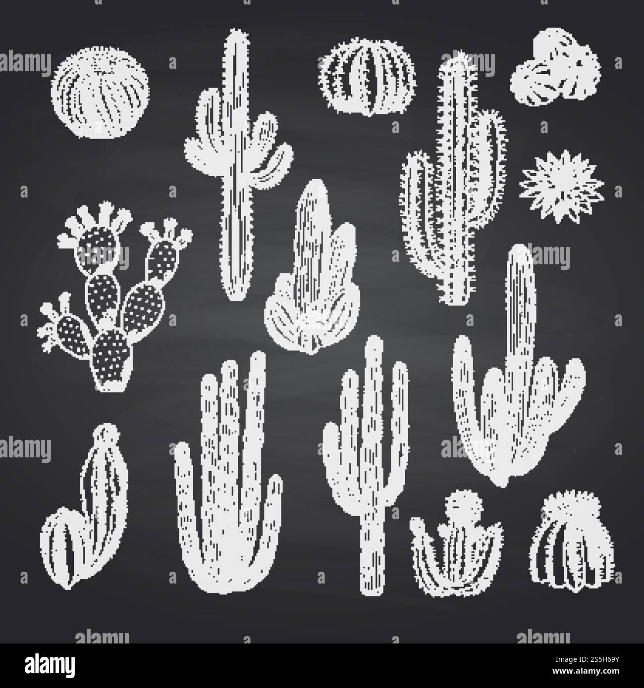 White pot plants on Black and White Stock Photos & Images - Alamy