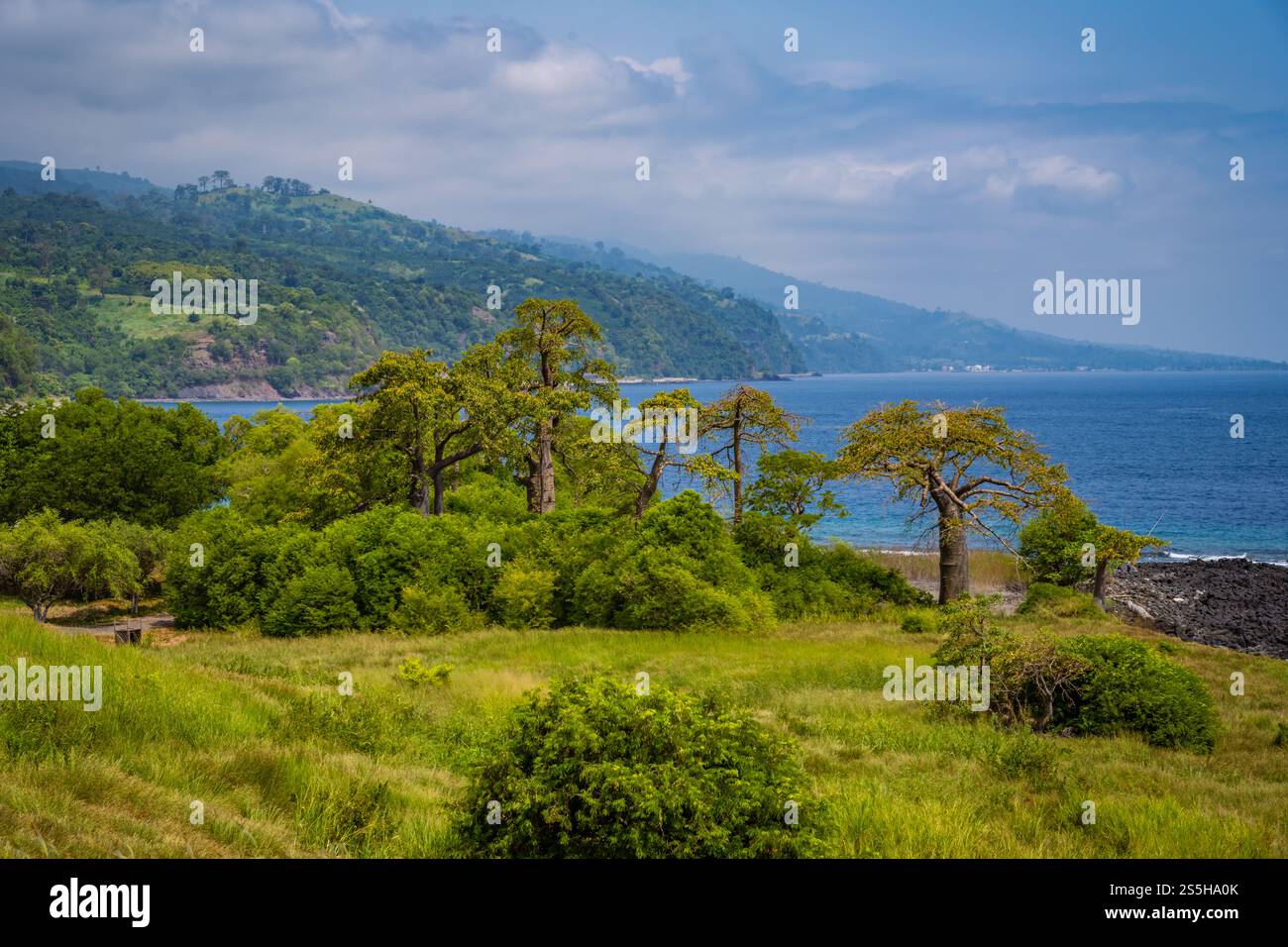 Parque natural obo de sao tome hi-res stock photography and images - Alamy