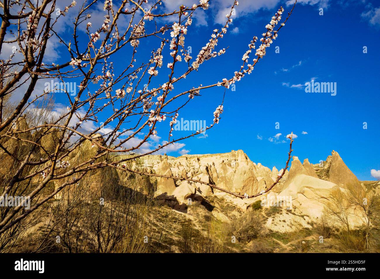 Volcanic tuff fairy chimneys, Devrent Valley, Cappadocia, central ...