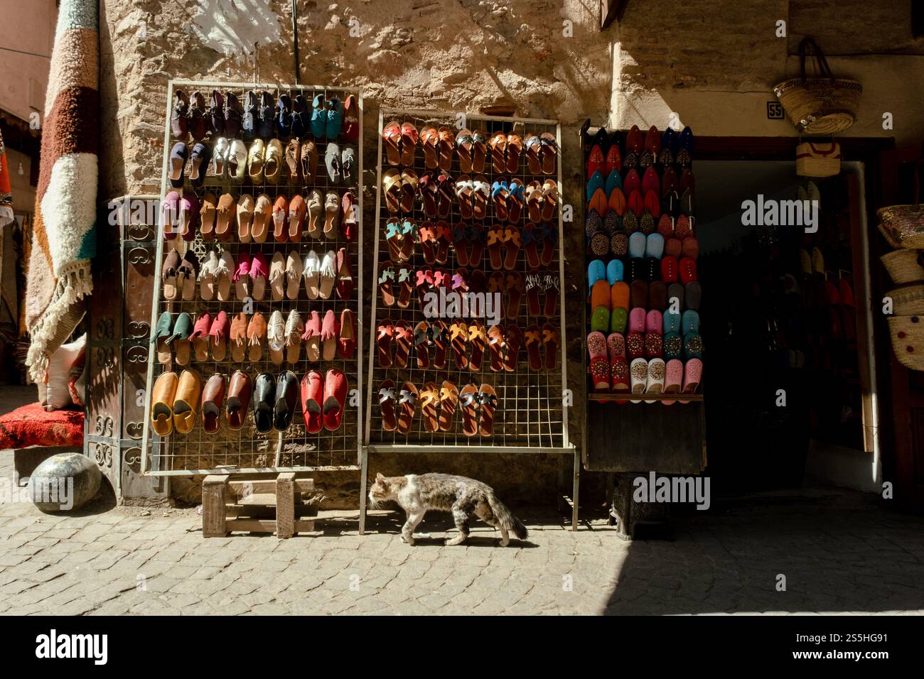 A cat walking past a store of traditional arabic style loafers of ...