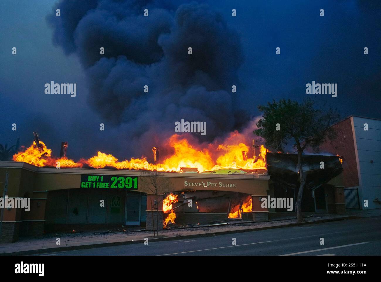 Altadena, USA. 08th Jan, 2025. The Palisades and Eaton fire captured ...