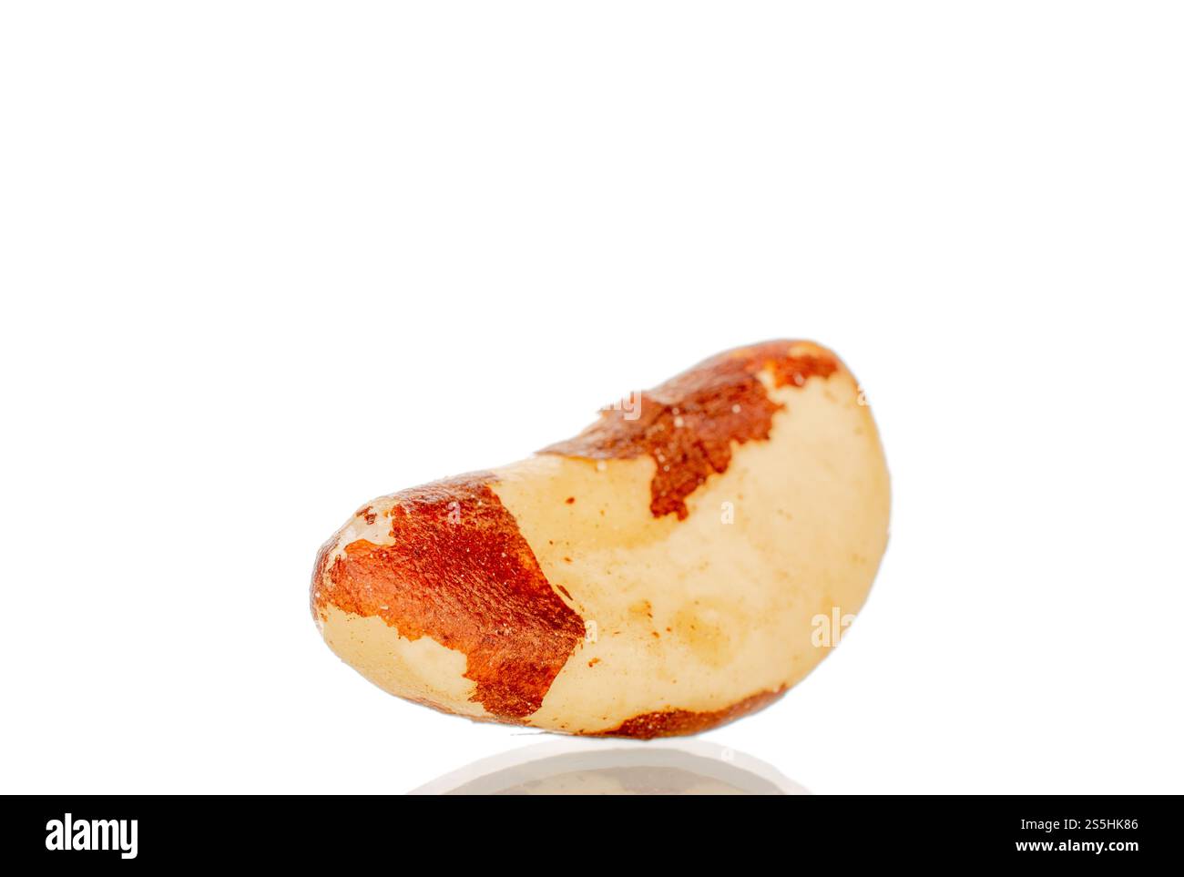 Brazil nuts without shells, macro, isolated on white background Stock ...