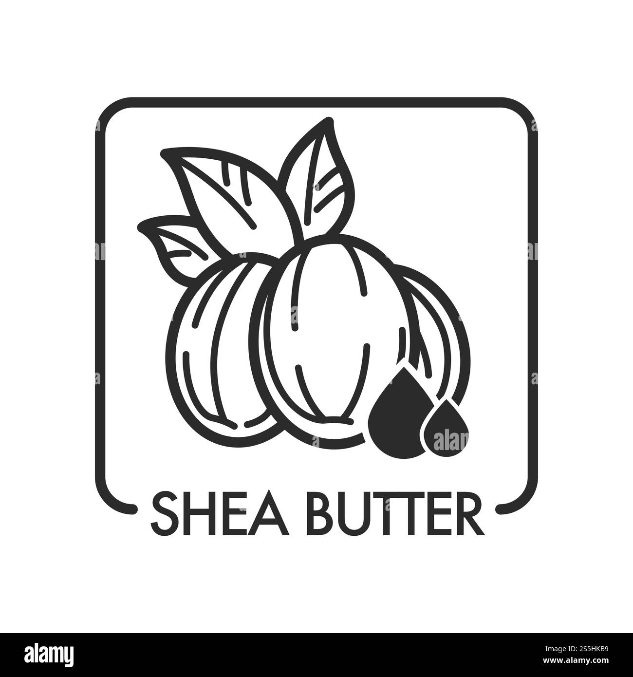 Shea butter organic product used in cosmetology for skin wellness and ...