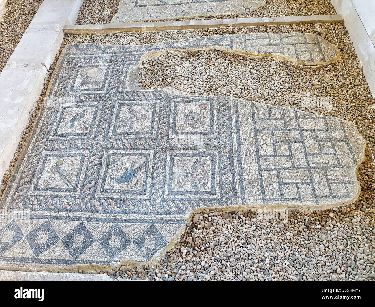 Famous mosaic panel from the Villa of Birds,featuring nine different ...