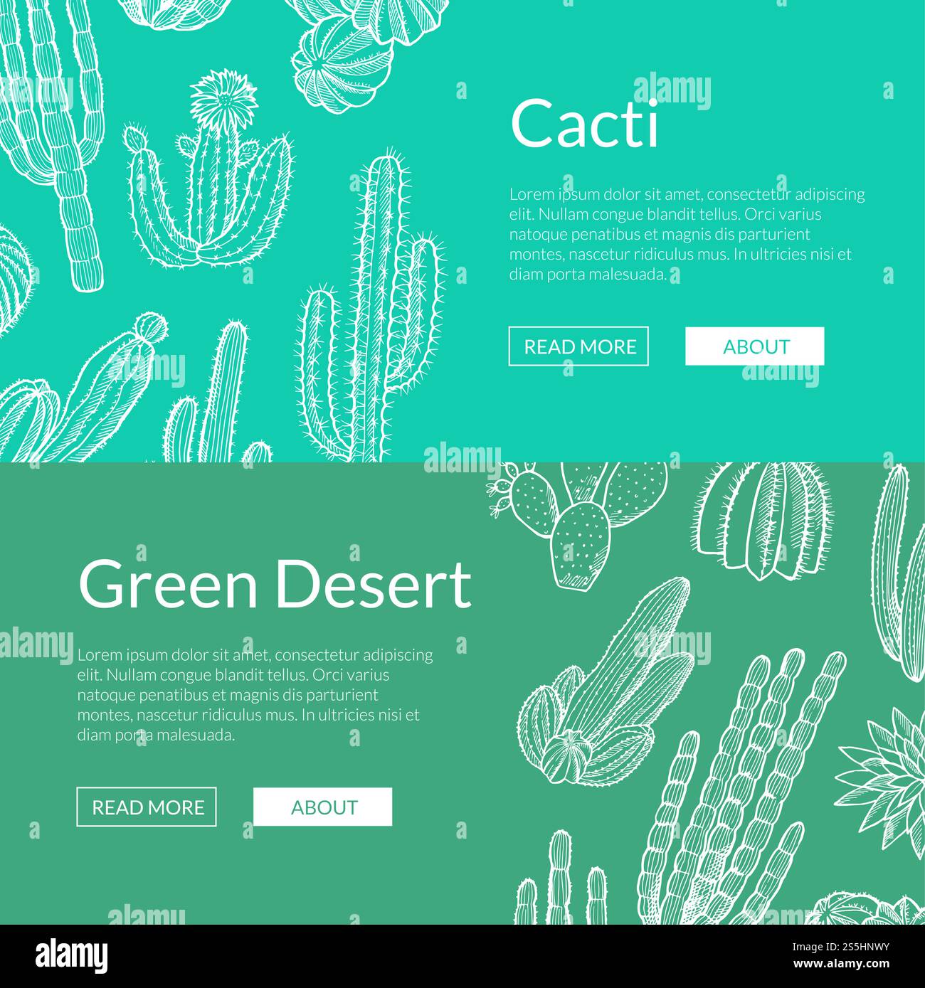 Vector banner and poster hand drawn greeen wild cacti plants web banner ...