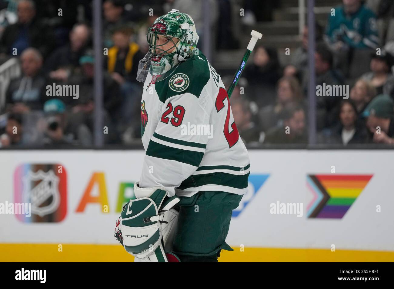 Minnesota Wild goaltender Marc-Andre Fleury during an NHL hockey game ...