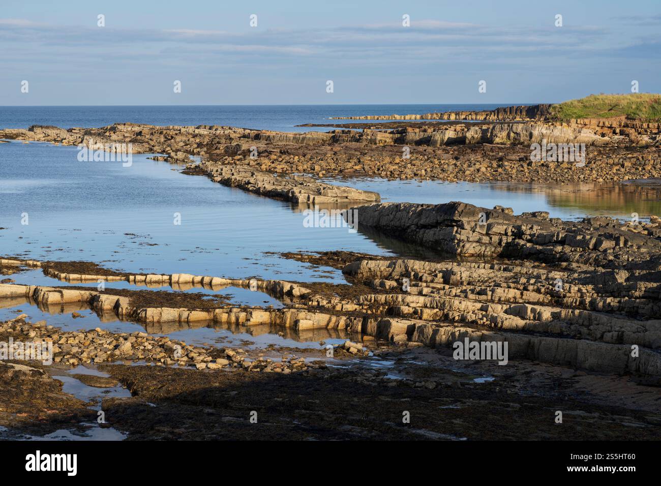 Beadnell, Northumberland coast fishing village now a popular resort and ...