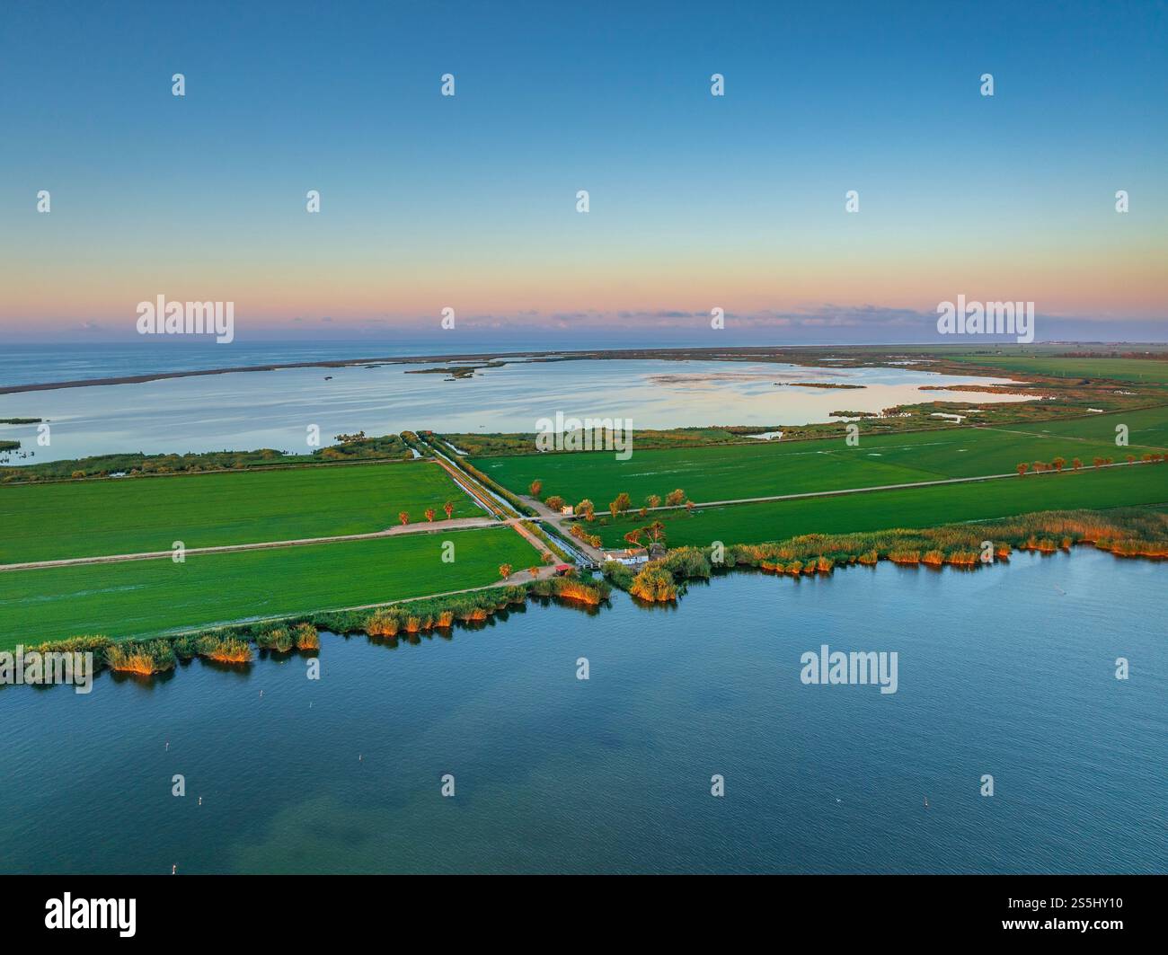 Aerial view of Buda Island and its wetlands and rice fields of the Ebro ...