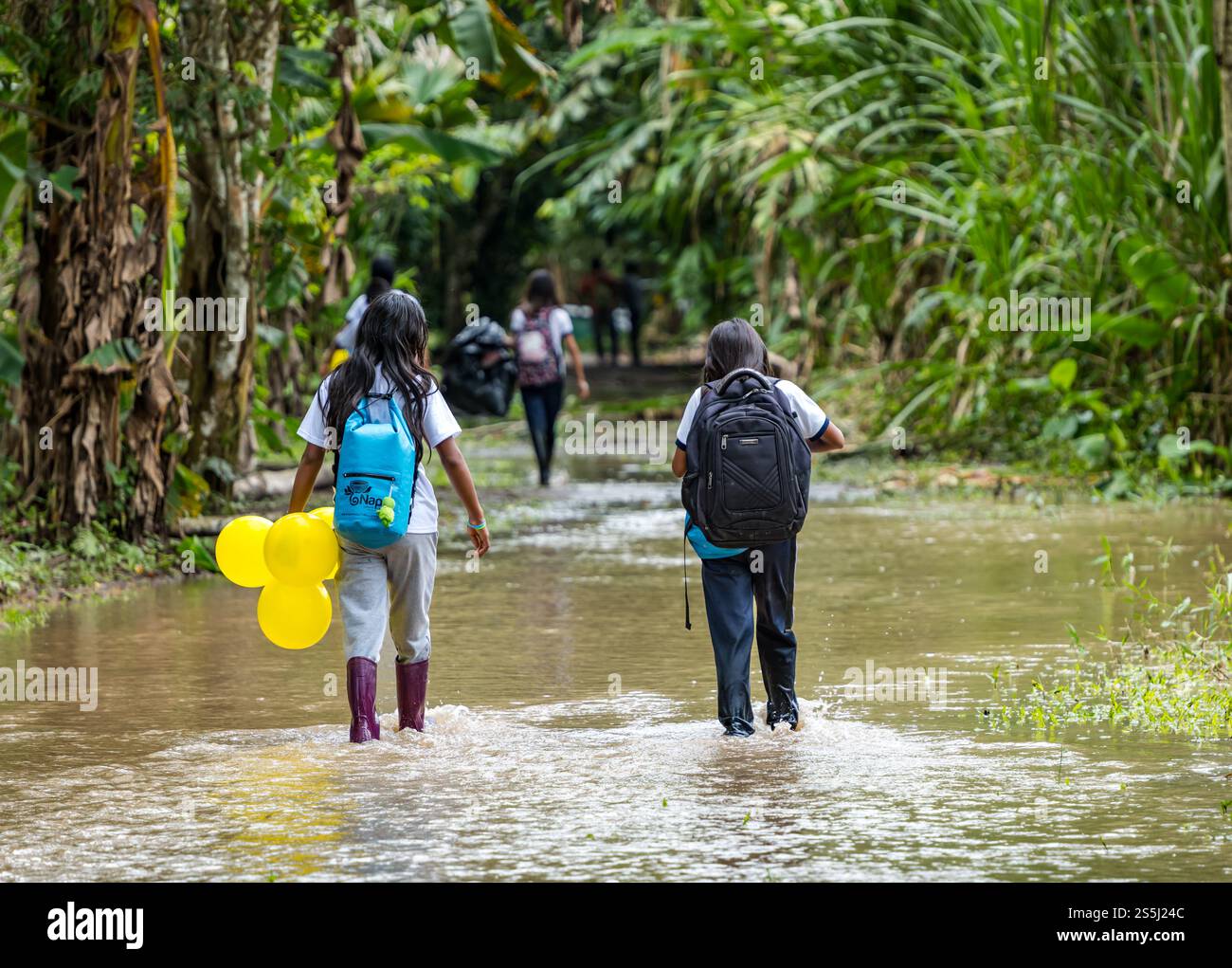 Children of Añangu Kichwa community walking on flooded path, Amazon ...