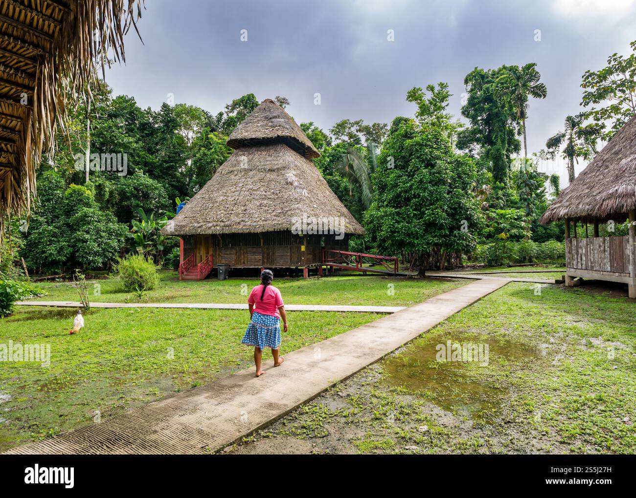 A woman from Añangu Kichwa community, Amazon rainforest, Yasuni ...