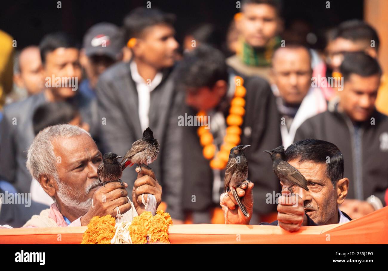 Hajo, India. 15 January 2024. Bird owners hold red-vented bulbuls ...