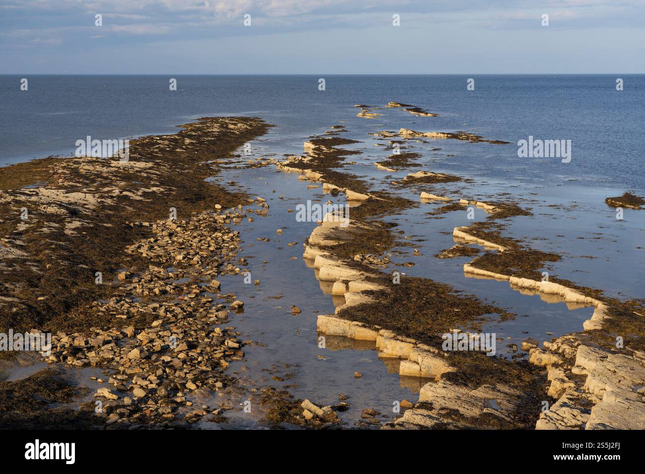 Geology visible in the rocky shore near Beadnell in Northumberland ...