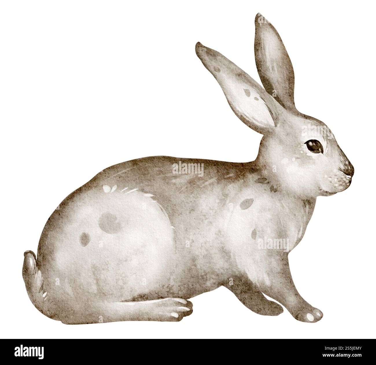 Watercolor bunny illustration. Hand-drawn artwork of a cute rabbit on ...