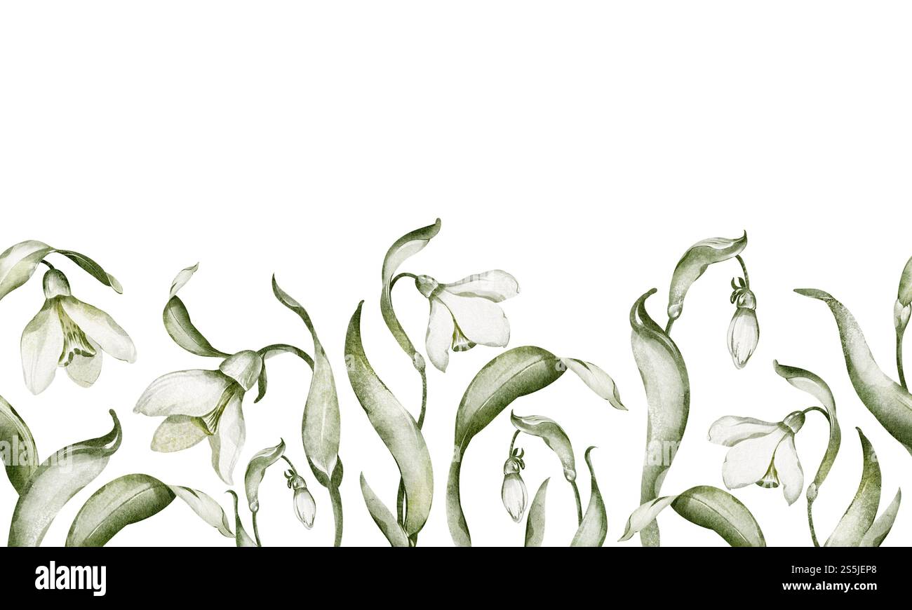 Watercolor Snowdrop and Floral seamless Border in white and green tones ...